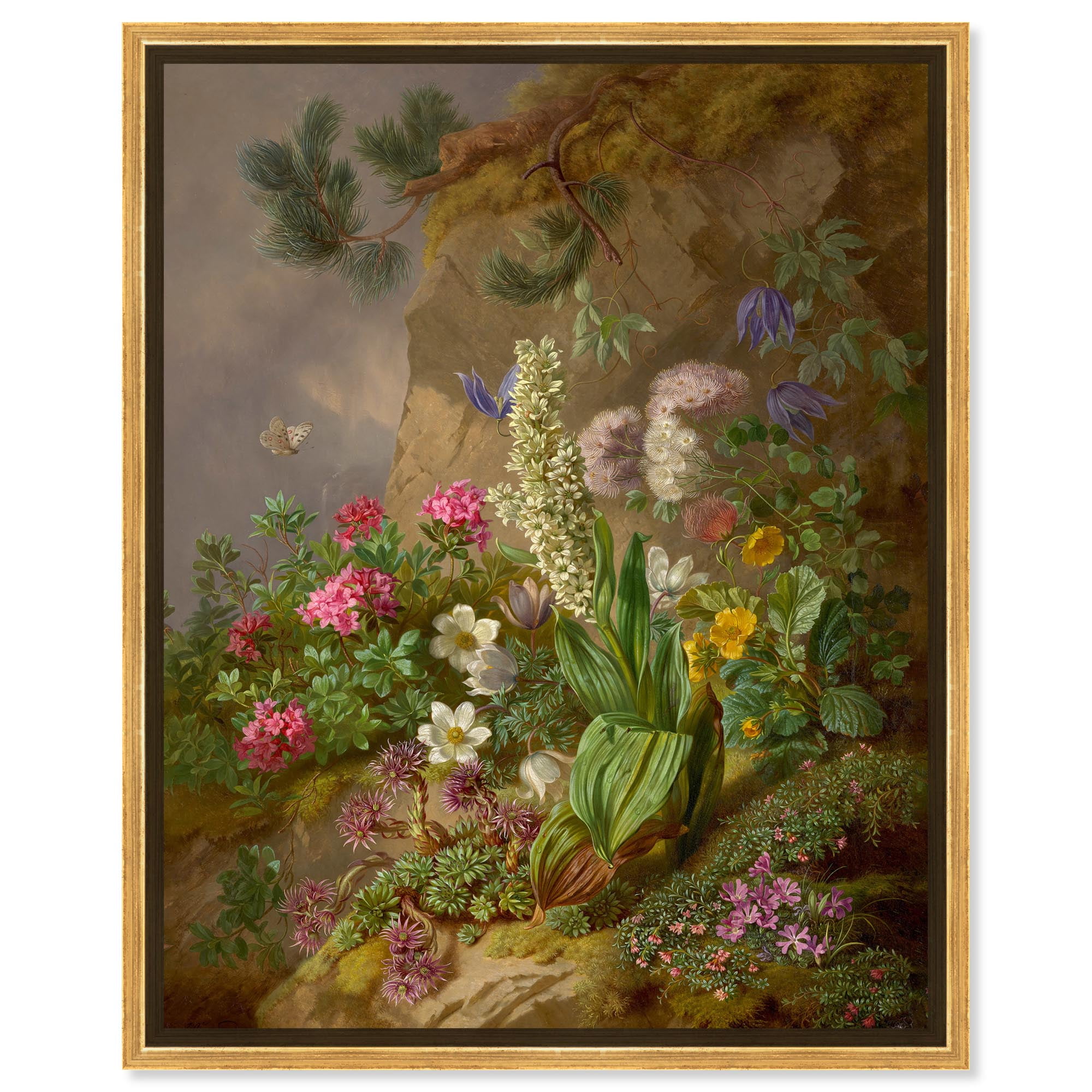 Joseph Schuster - Alpine Flower Canvas Vintage Floral Wall Art by Art ...