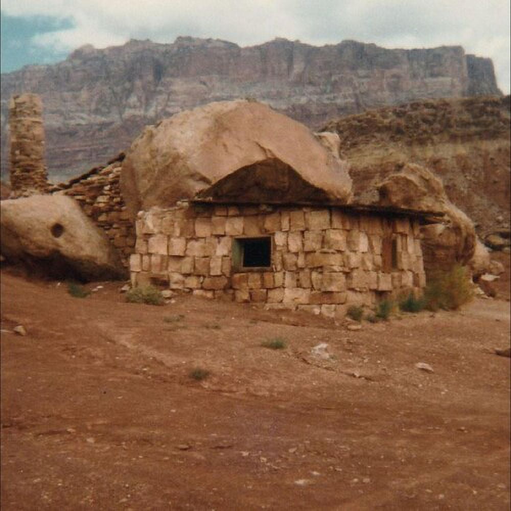 Josephine Foster - Domestic Sphere - Music & Performance - Vinyl ...