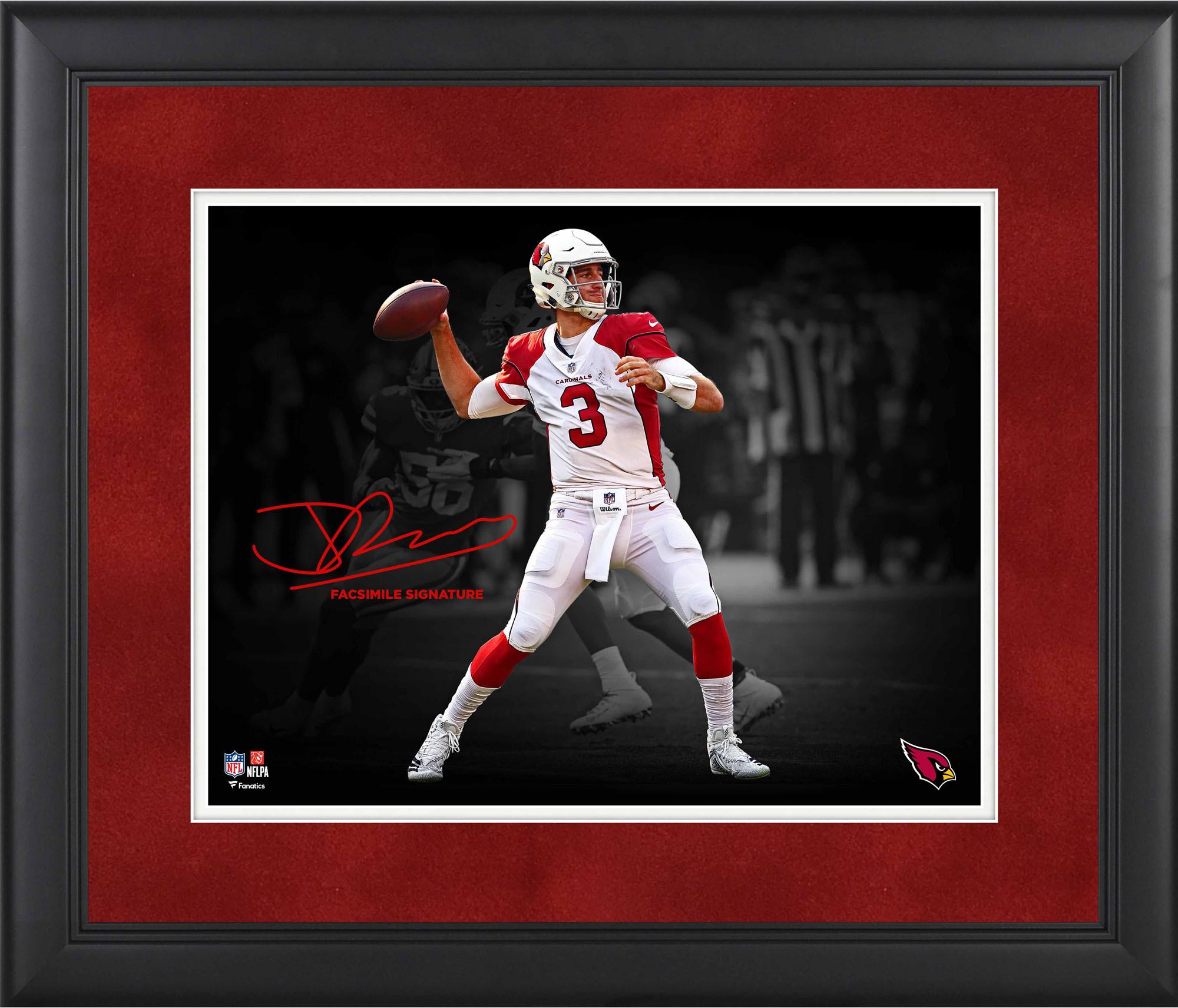 Josh Rosen Arizona Cardinals Framed 11" x 14" Spotlight Photograph ...