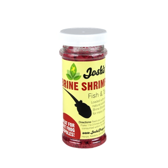 Live Brine Shrimp