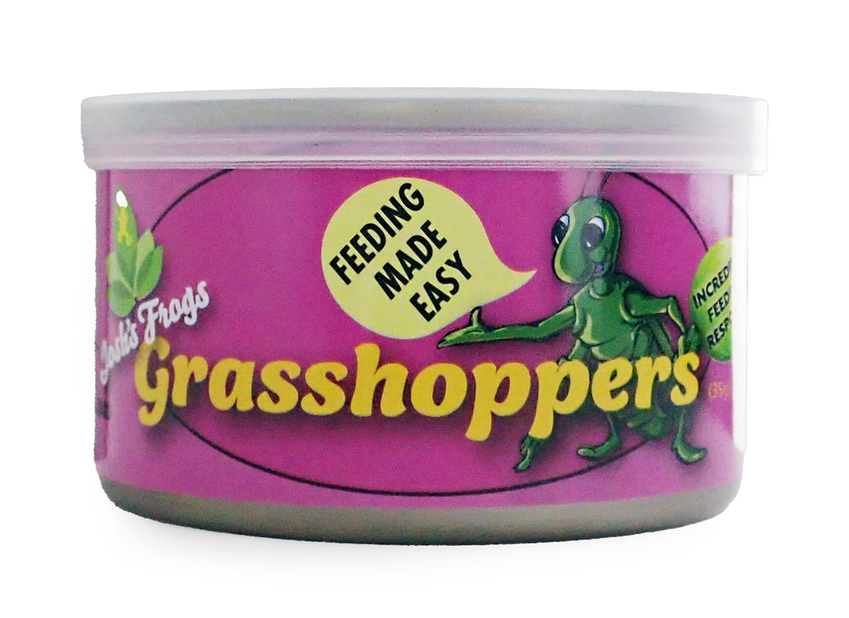 Josh's Frogs Canned Grasshoppers (35g) - Walmart.com