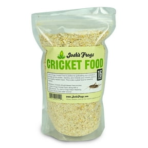 Live Crickets