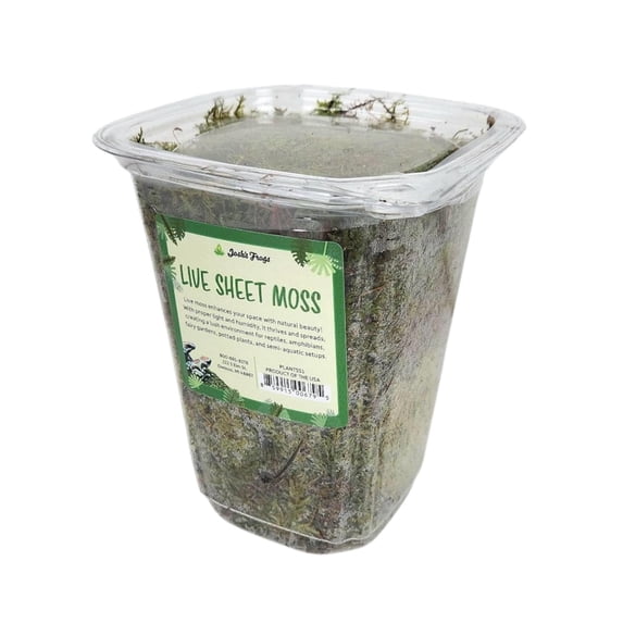 Josh's Frogs Live Fresh Sheet Moss Plant for Terrariums (1 Quart ...