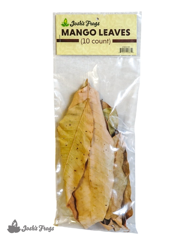 Josh's Frogs Mango Leaves Leaf Litter (10 count) - Walmart.com
