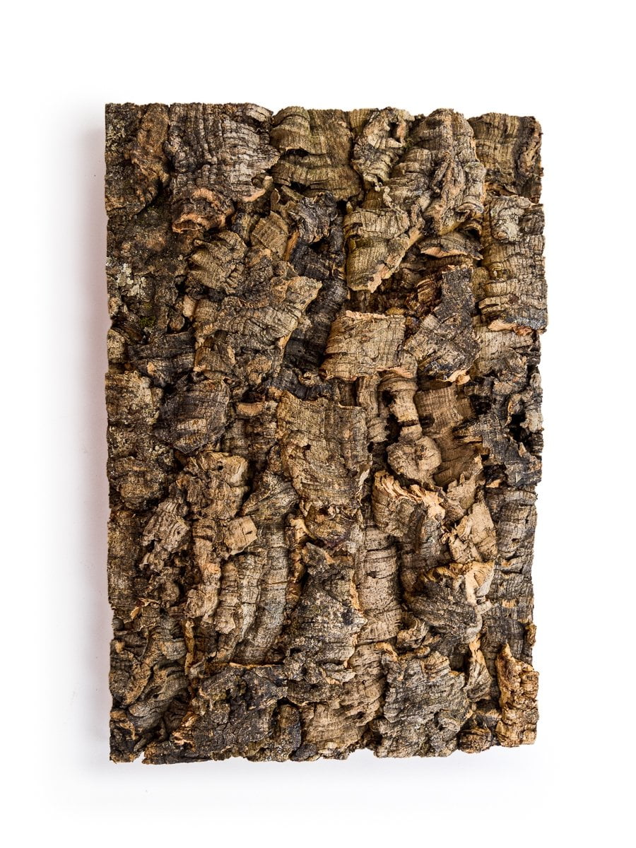 Josh's Frogs Natural Virgin Cork Sheet Terrarium Background (~18x12 ...