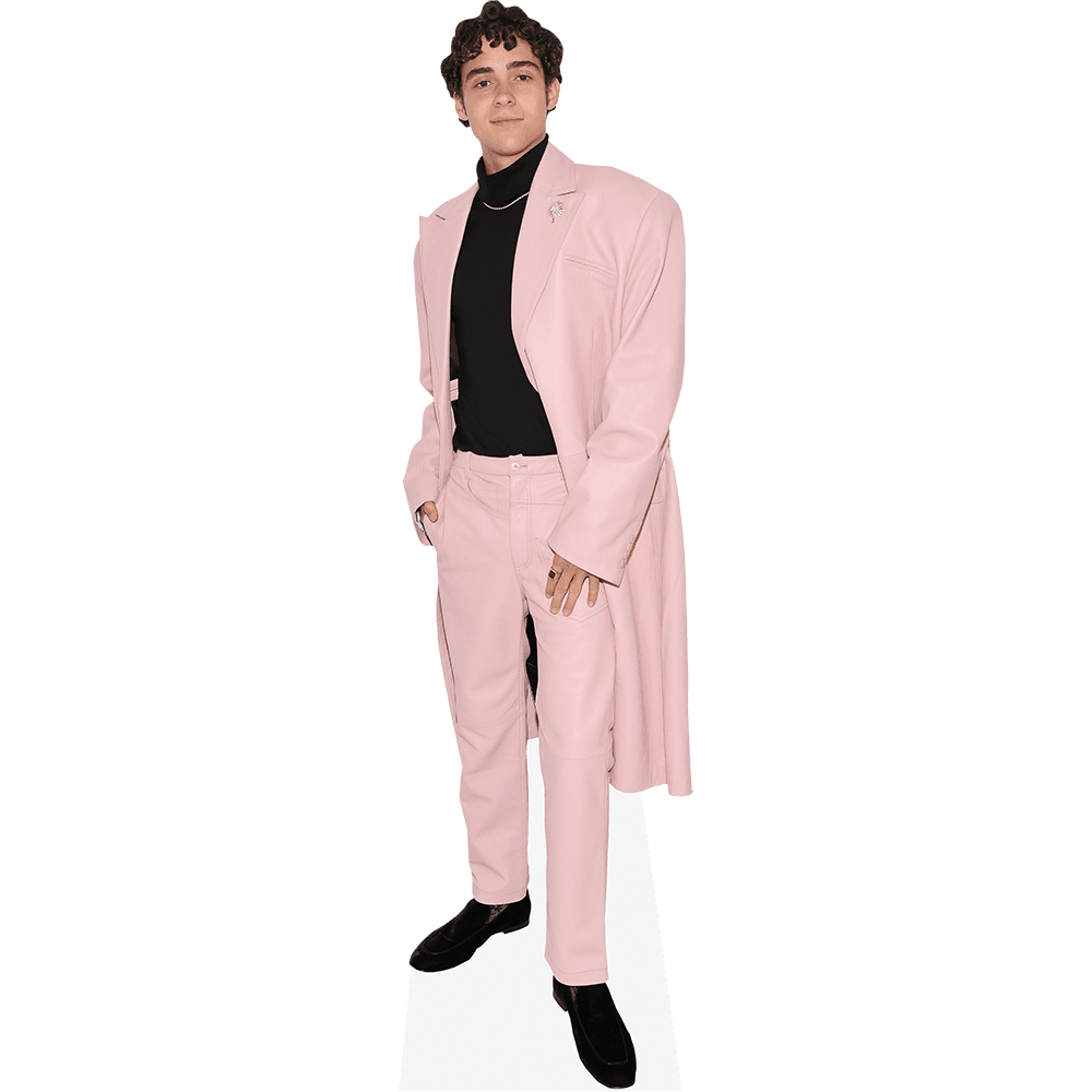 Joshua Bassett (Pink Suit) Lifesize Cardboard Cutout Standee - Walmart.com
