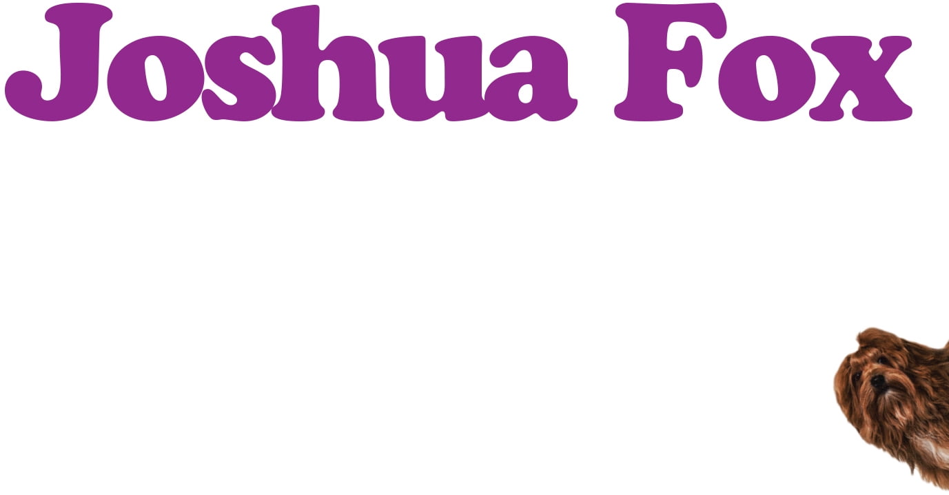 Joshua Fox - Joshua Fox - Music & Performance - CD - Walmart Business ...