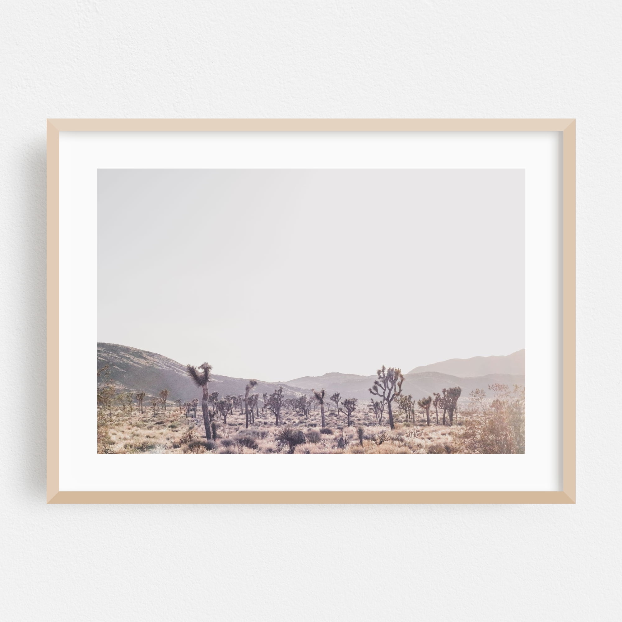 Joshua Tree Landscape - Joshua Tree California Photography Desert ...