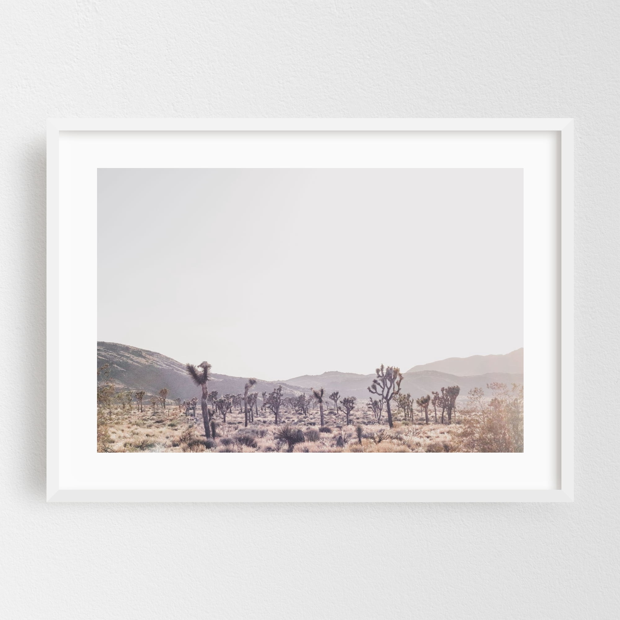 Joshua Tree Landscape - Joshua Tree California Photography Desert ...