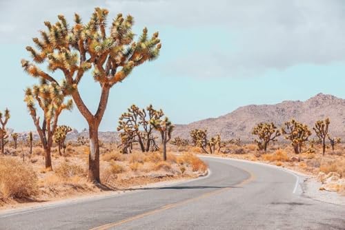 Joshua Tree National Park 500 Pieces of Wooden Puzzle, Exercise Memory ...
