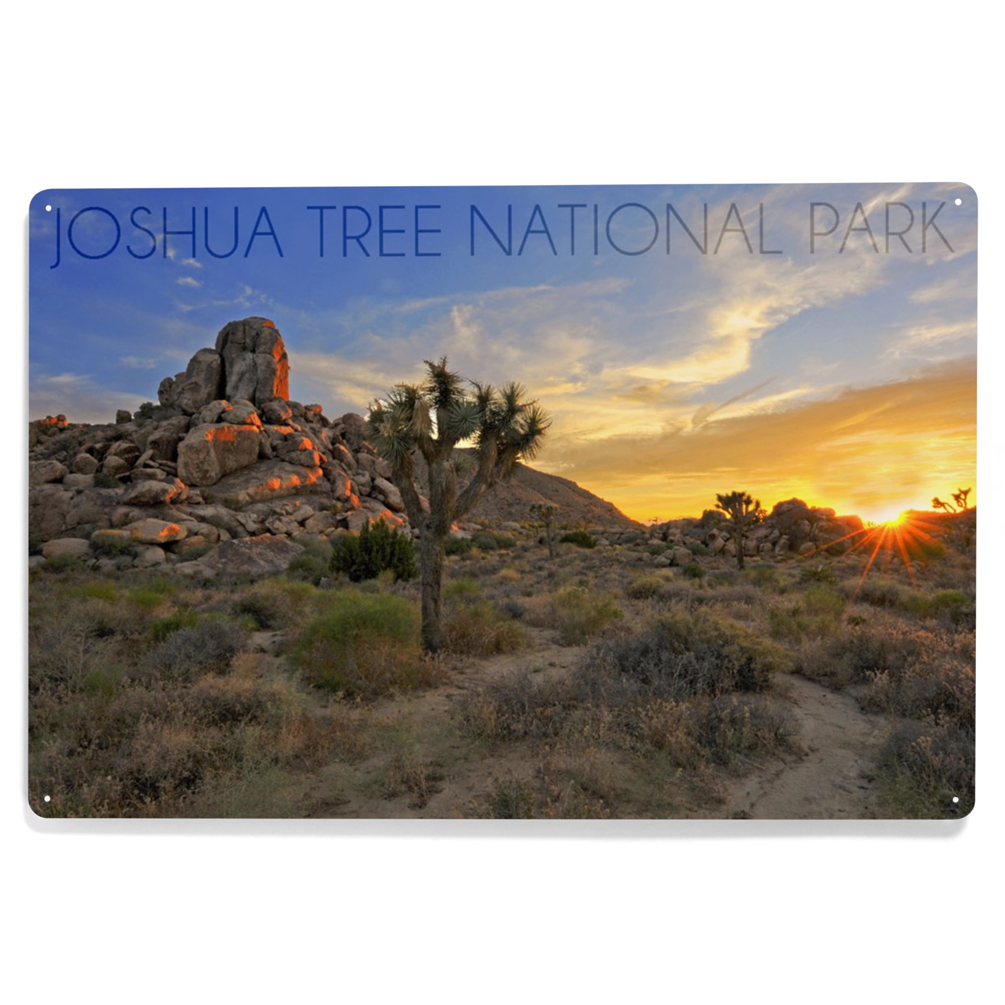 Joshua Tree National Park, California, Sunrise (12x18 Aluminum Art ...