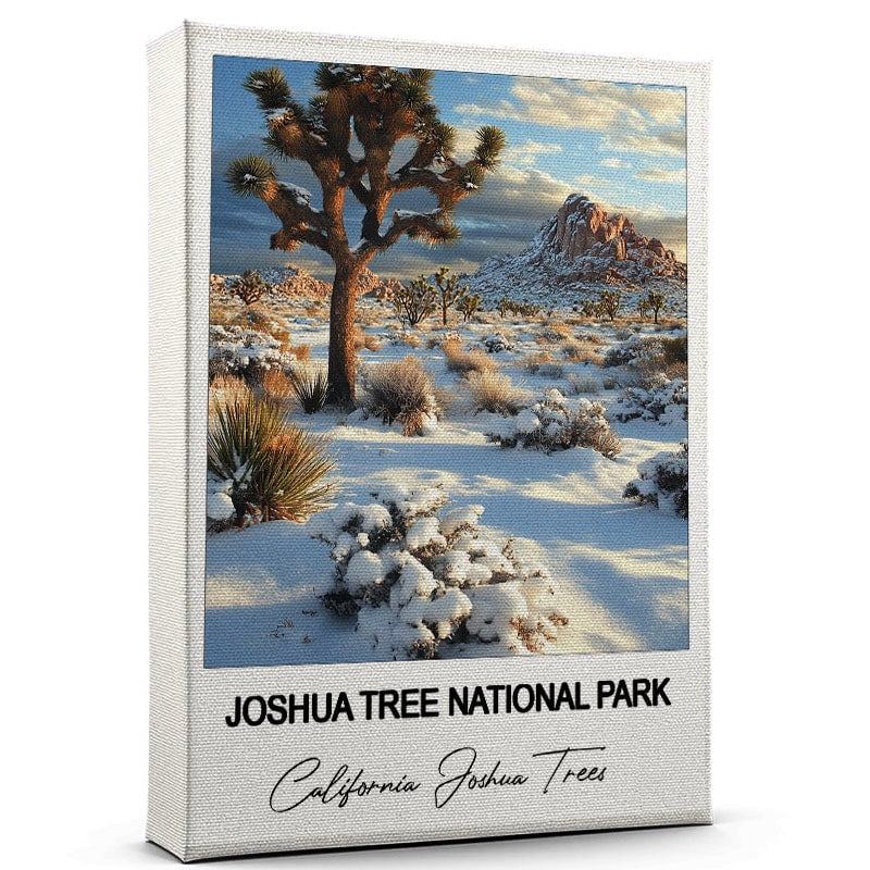 Joshua Tree National Park Travel Art Canvas – Modern Wall Art Inspired ...