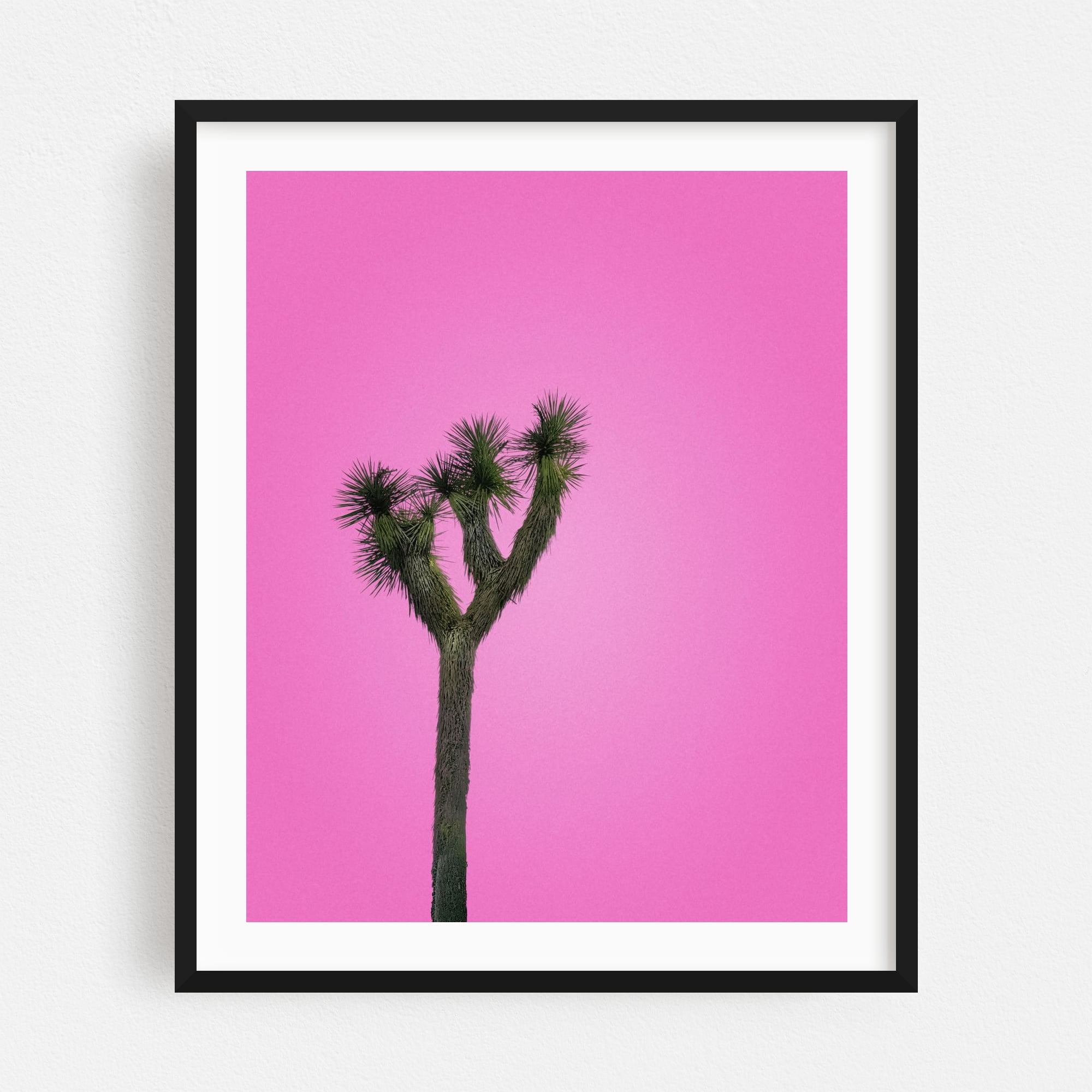 Joshua Tree with Pink Sky - Joshua Tree California Photography Cactus ...