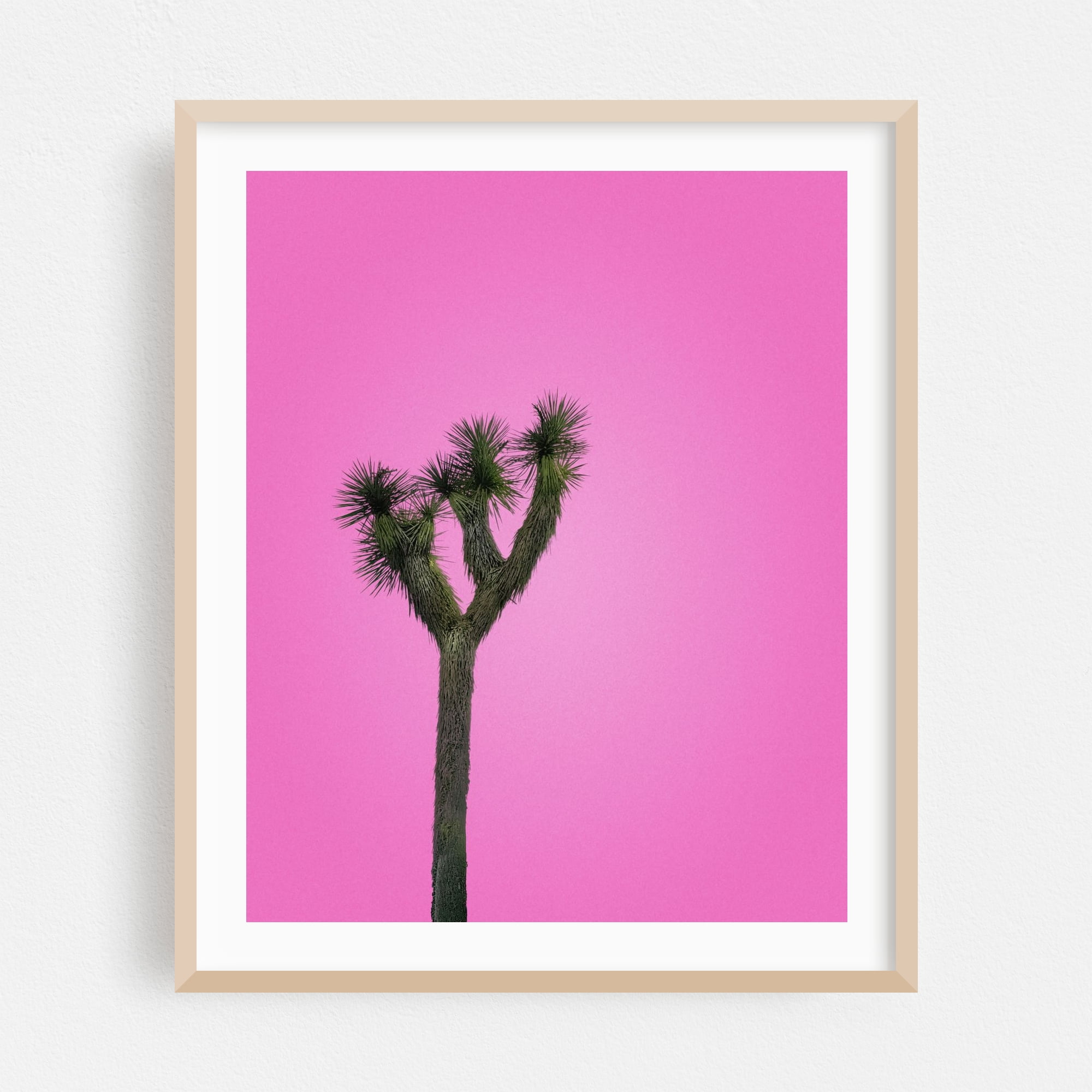 Joshua Tree with Pink Sky - Joshua Tree California Photography Cactus ...