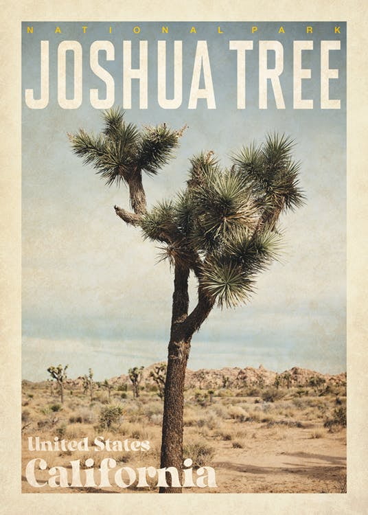 Joshua Tree Print Wall Art, Modern Wall Decor For Living Room Bedroom ...