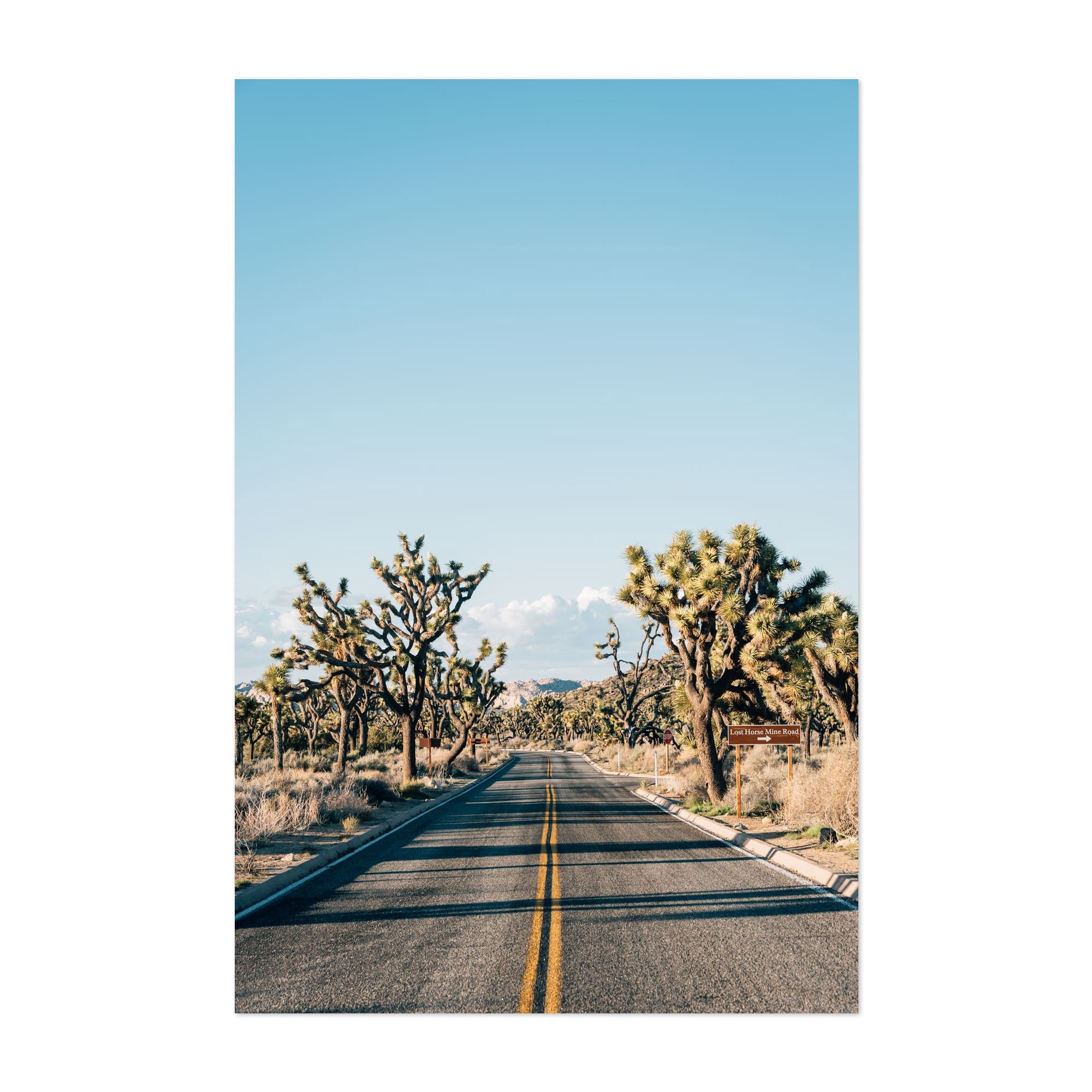 Joshua Tree Road 03 - Joshua Tree California Photography Desert Cactus ...