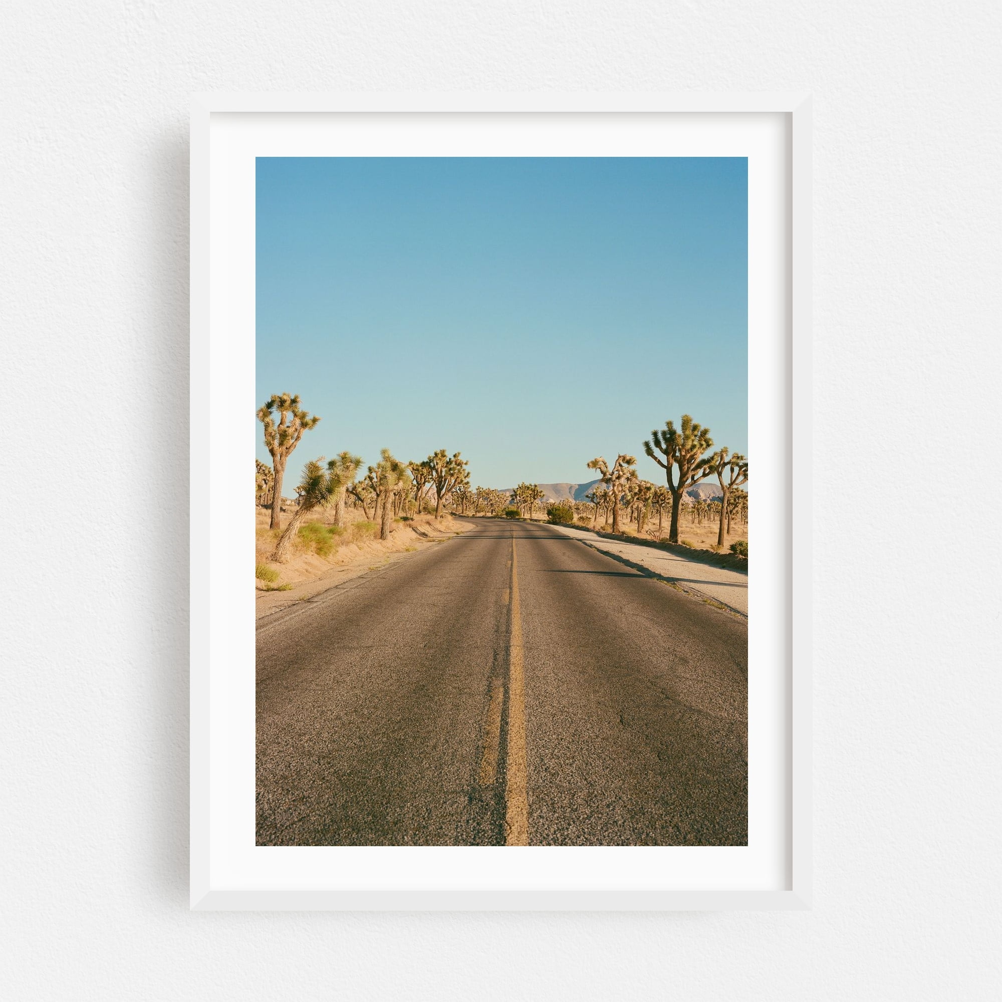 Joshua Tree Road II - Joshua Tree California Photography Desert Cactus ...