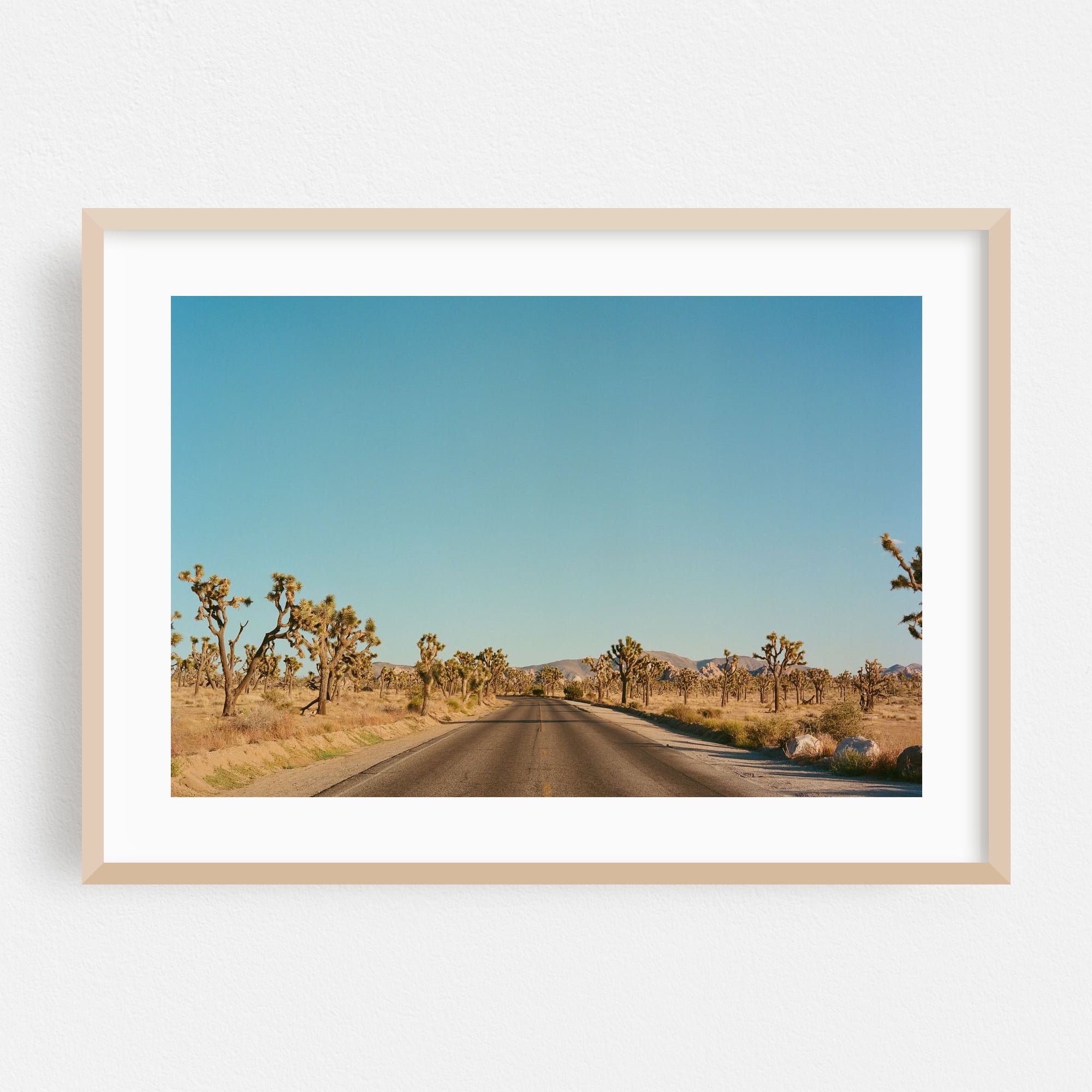 Joshua Tree Road - Joshua Tree California Photography Desert Landscape ...