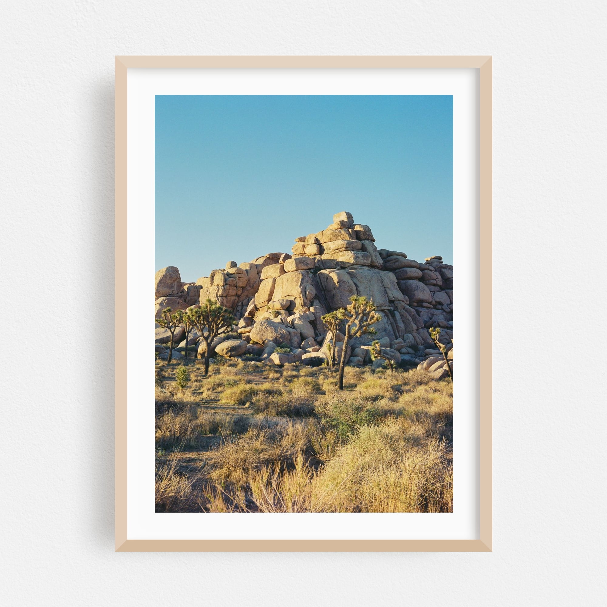 Joshua Tree Sunset - Joshua Tree California Photography Desert ...