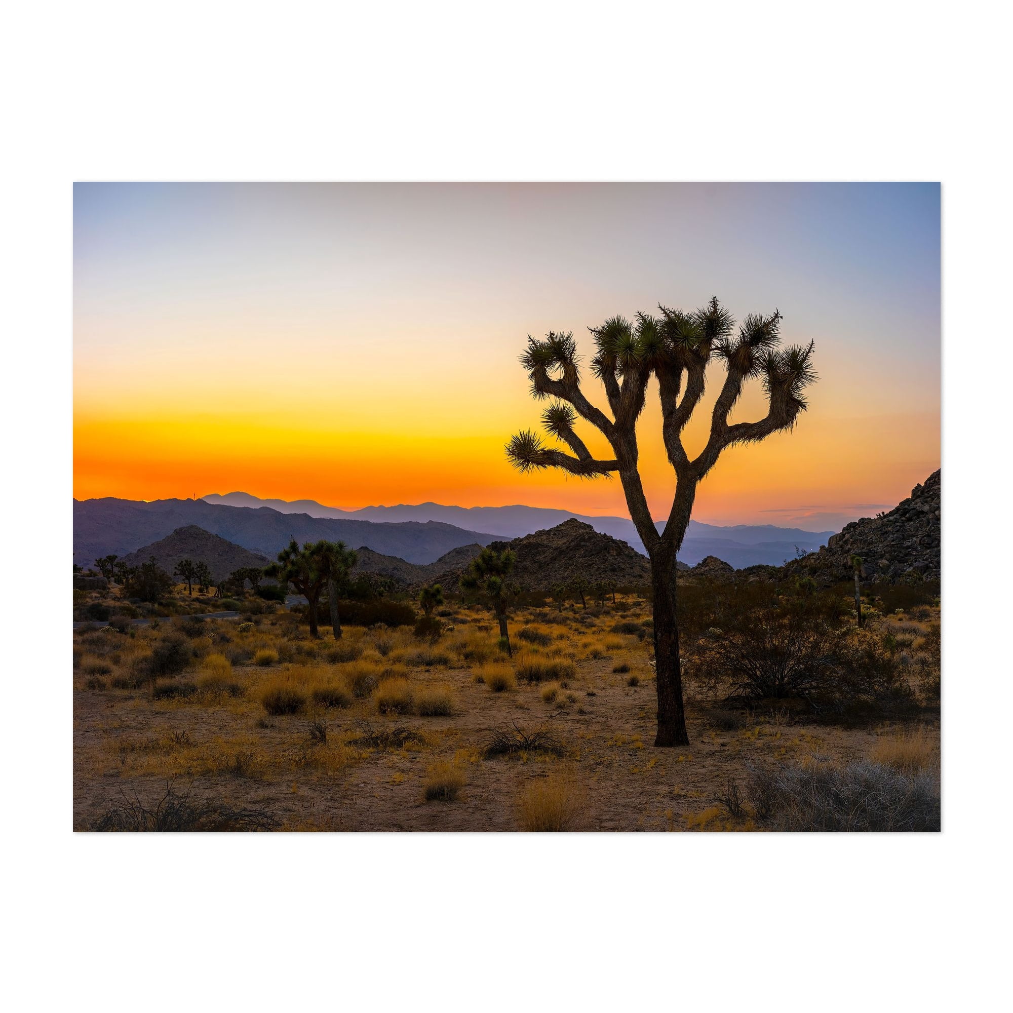 Joshua Tree sunset - Joshua Tree California Photography Desert Sunset ...
