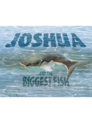 Joshua and the Biggest Fish - Walmart.com