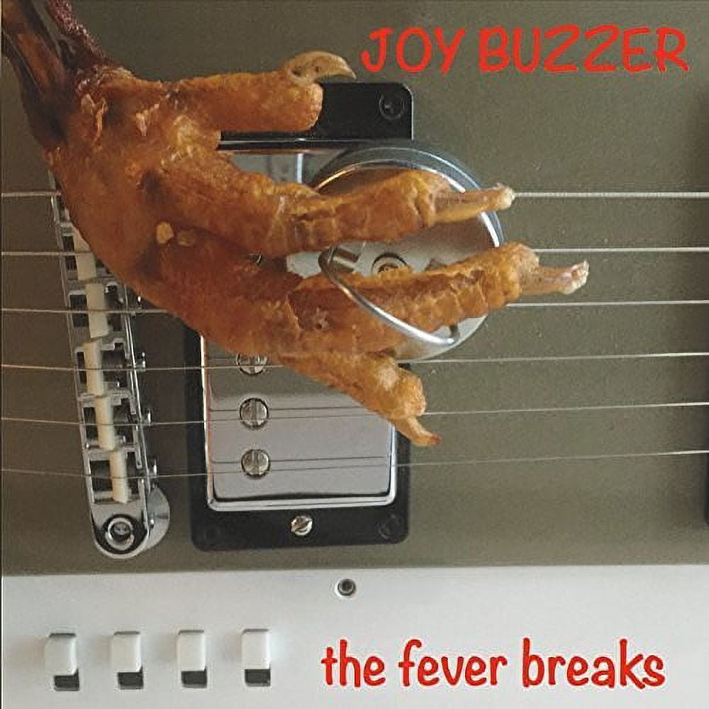 Joy Buzzer (CD) - Walmart.com