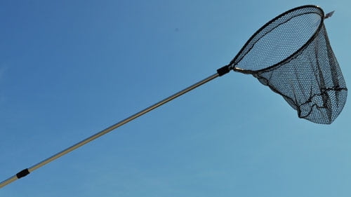 Joy Fish Landing Net 22" X 24" Hoop 4'5''-8' Handle Telescoping Black ...