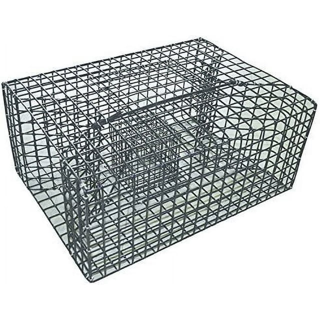 Joy Fish Pinfish Bait Trap - Walmart.com