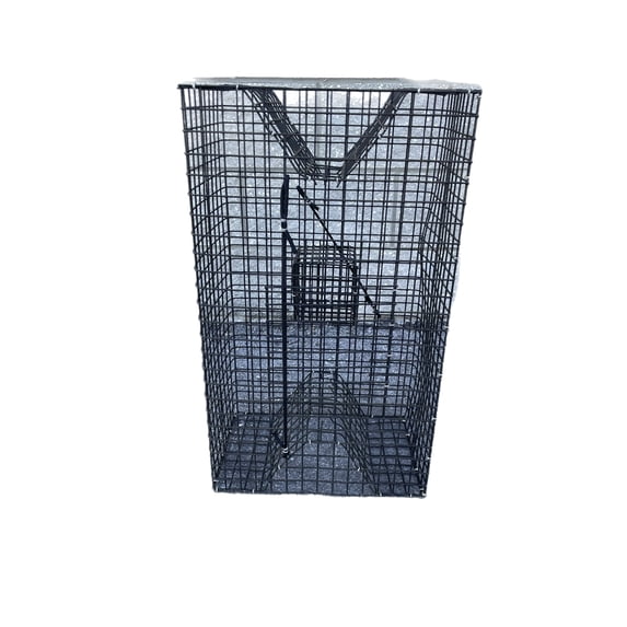 Joy Fish Pinfish Trap Made with Coated Wire mesh, Heavy Duty, Two ...