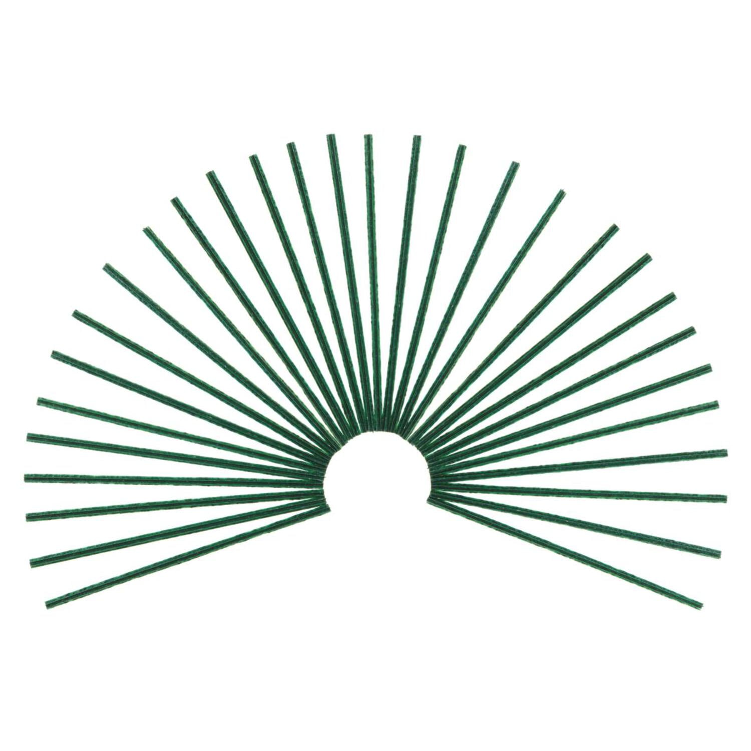 Joy Mangano Forever Fragrant 30 Pack Wood Pulp Sticks, Holiday ...