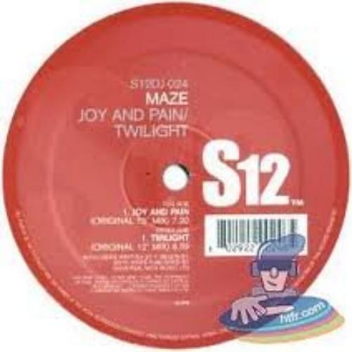 Maze Joy and Pain (Vinyl Record) - Walmart.com