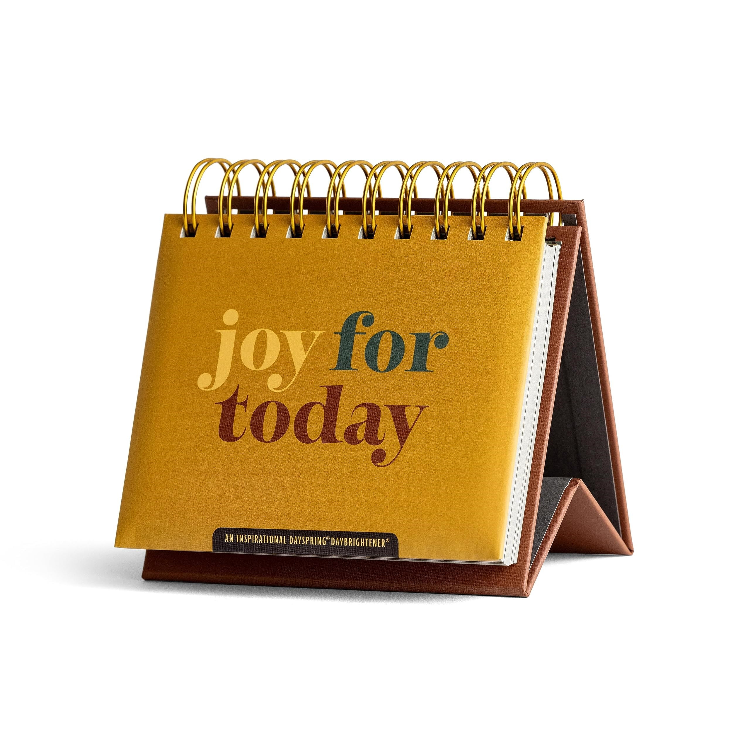 DaySpring Joy for Today: Inspirational DayBrightener Perpetual Calendar ...