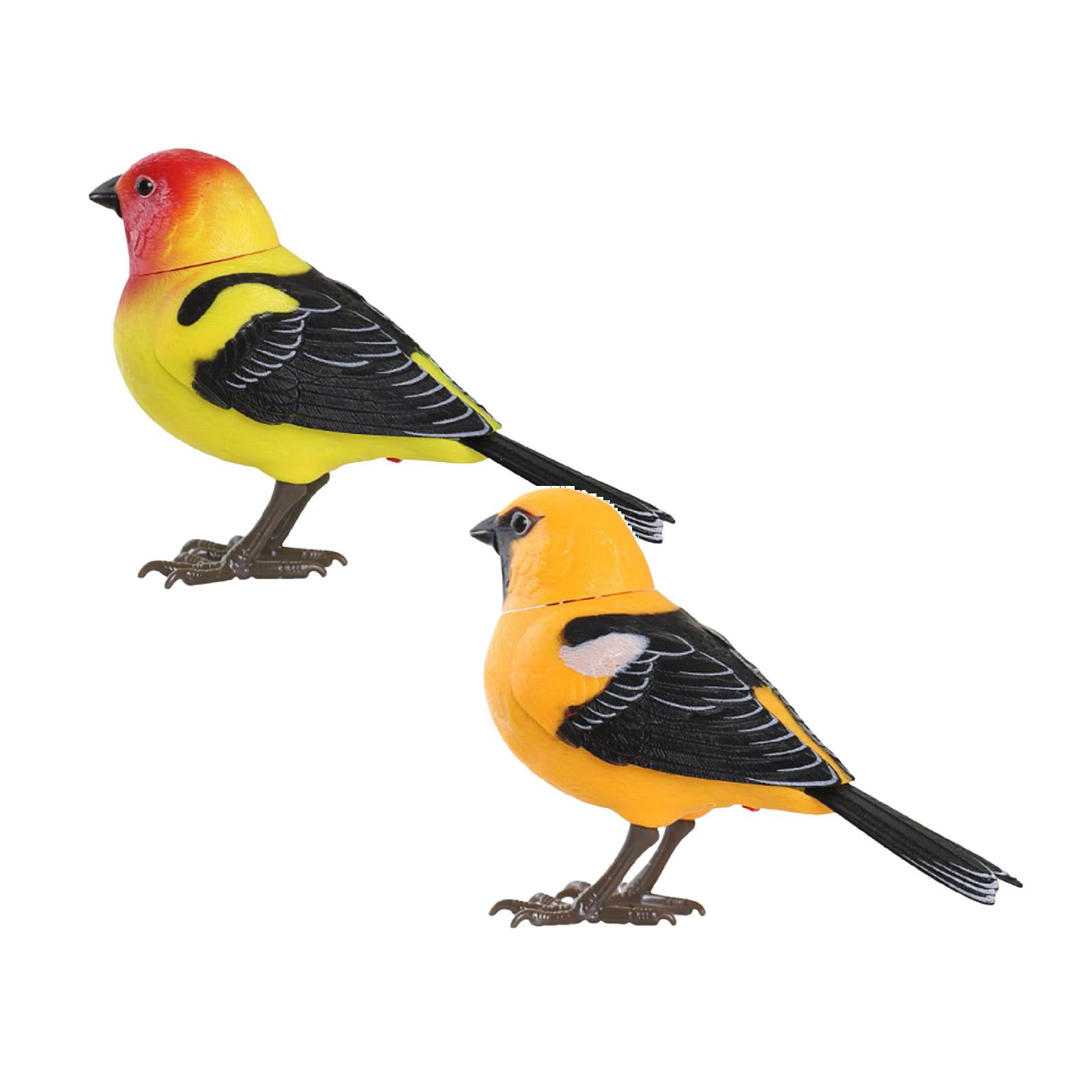 JoyMagic Robot Bird Singing And Chirping Bird Toy Simulate The Chirping ...
