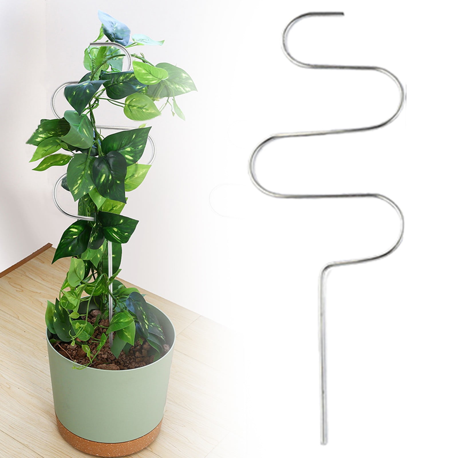 JoyMart 4pcs for Climbing Potted Indoor Plants Sturdy & Strong Vine ...