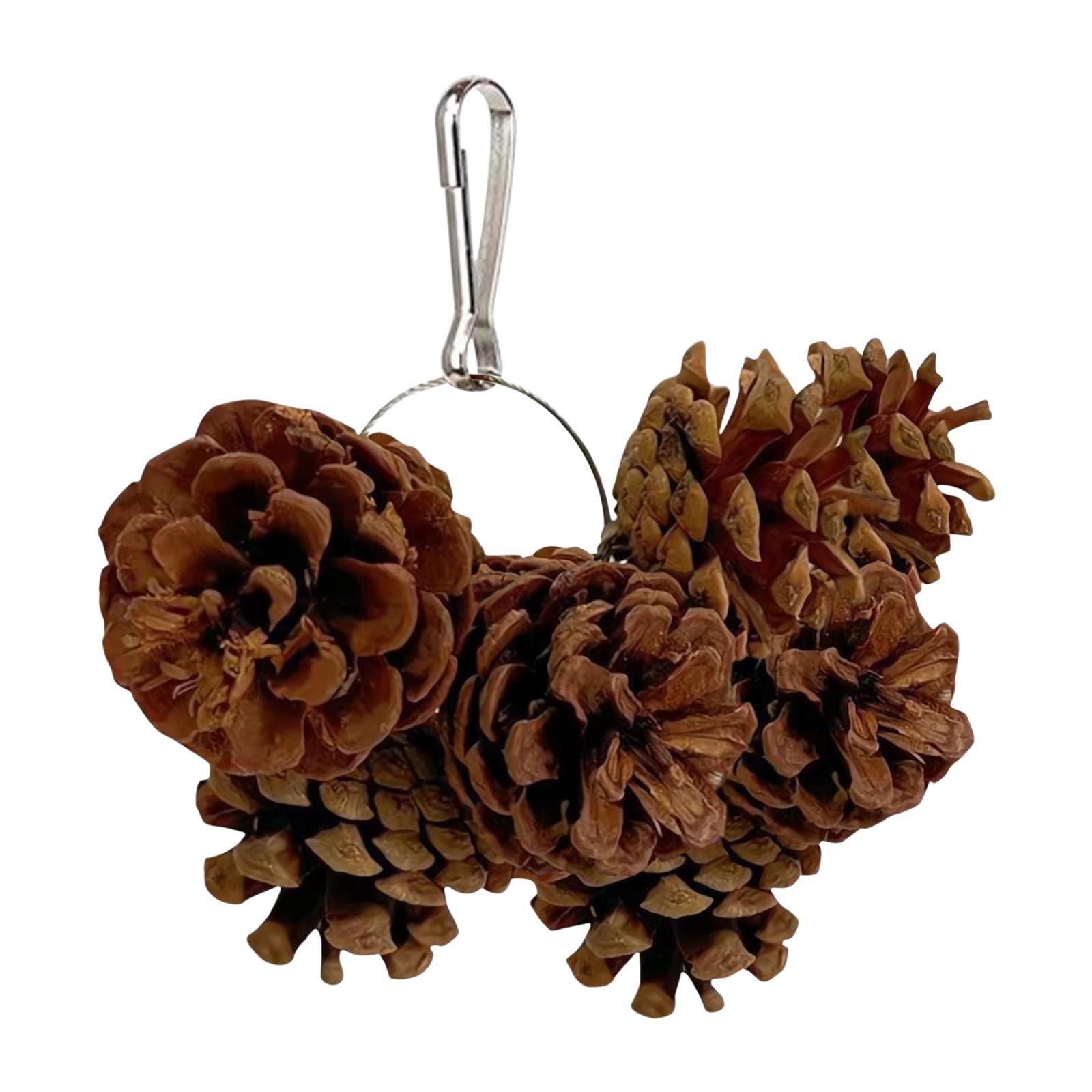JoyMoreHome 6PCS Bird Bite Pine Cones with Fixing Nuts, Pine Cone Molar ...