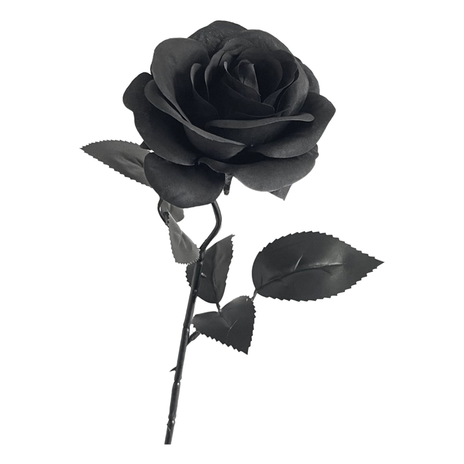 JoyMoreHome Artificial Black Roses Flower Silk Rose with Stem Realistic ...