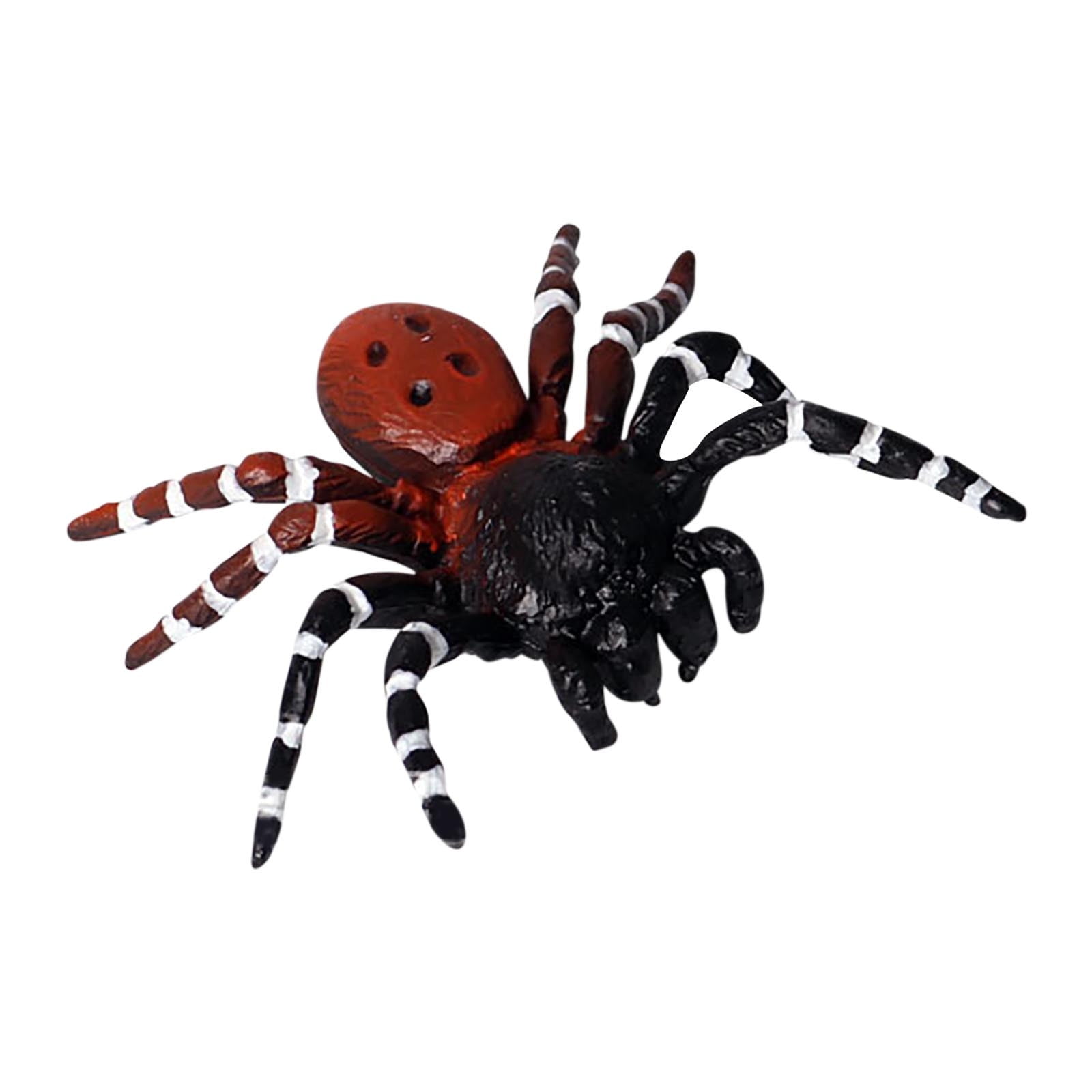 JoyMoreHome Realistic Animal Figures, Lifelike Spider Model Insect Toy ...