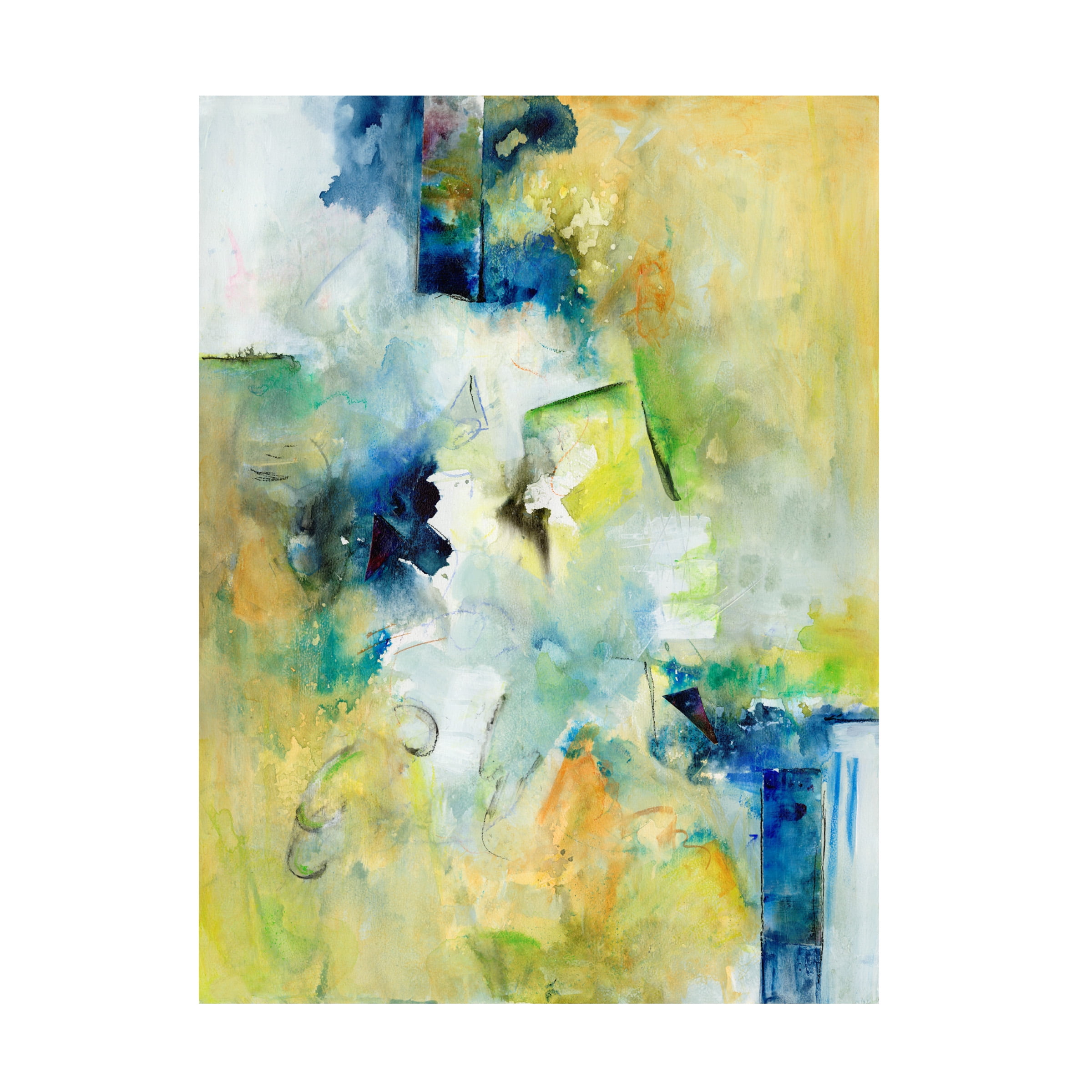 Joyce Combs 'Starlings I' Canvas Art - Walmart.com