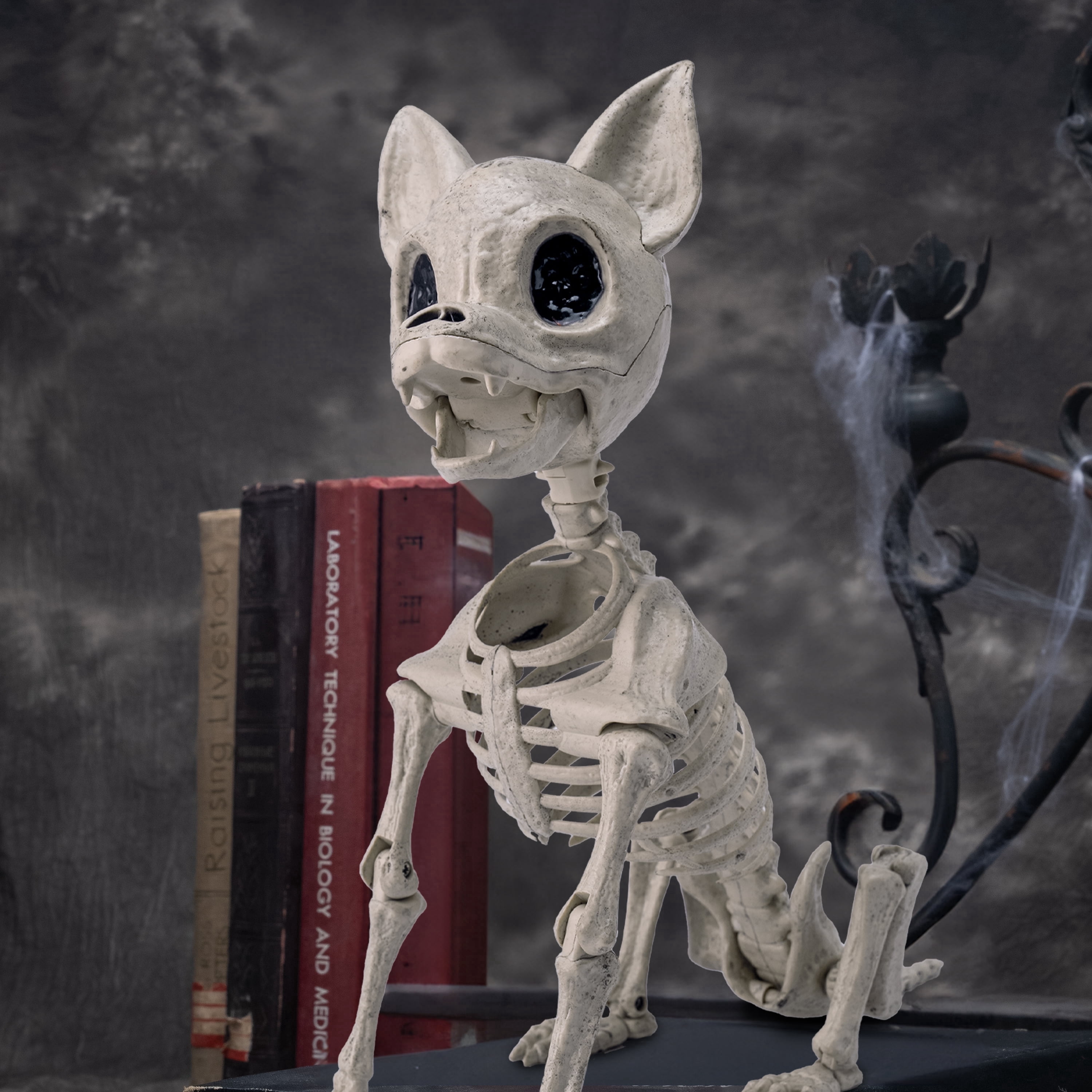 Joyfy 12.6 Halloween Plastic Chihuahua Dog Skeleton with Posable Joints ...