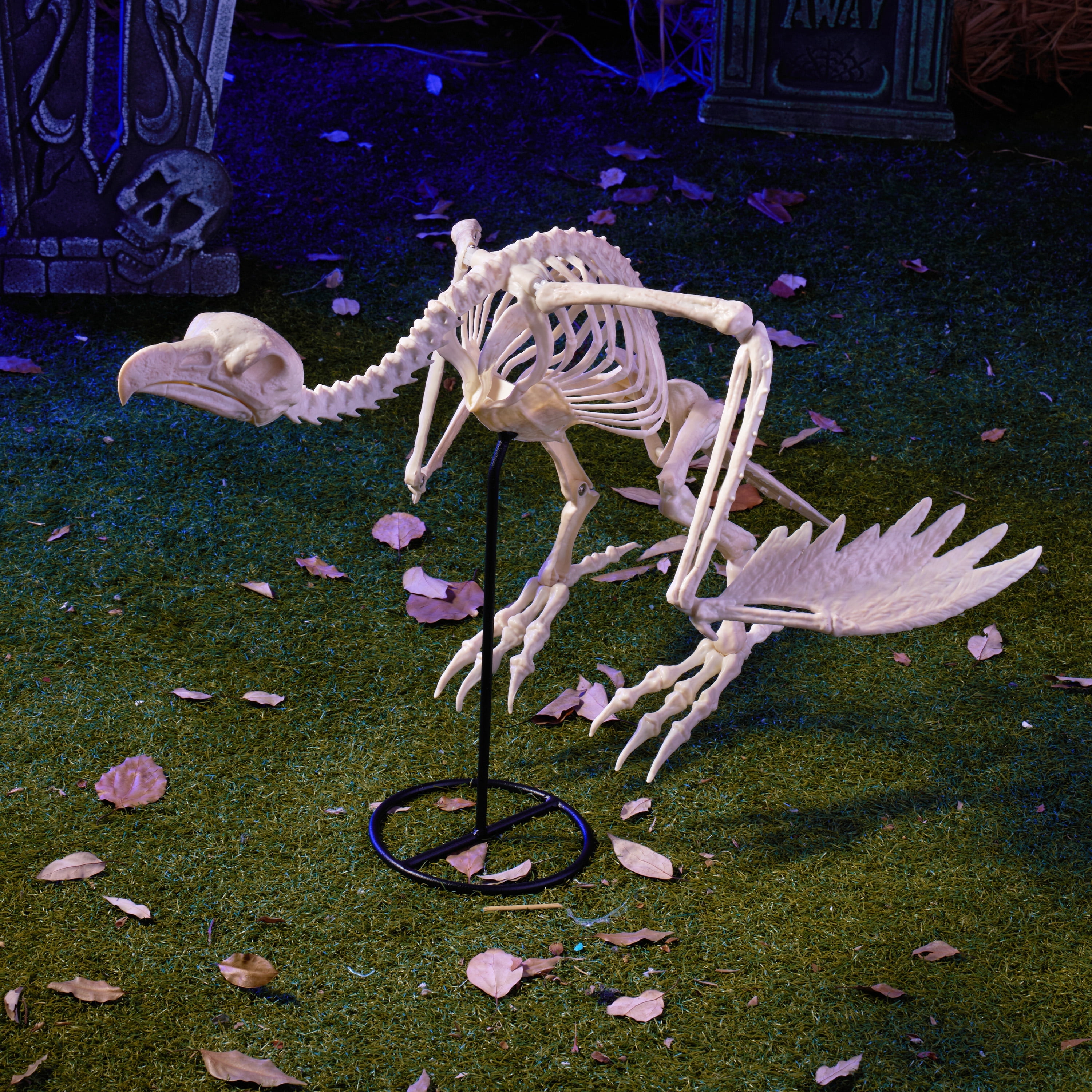 Joyfy 12 inch Halloween Vulture Skeleton Decorations, Posable Animal ...