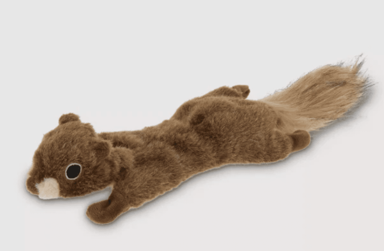 Joyhound Crazy Comfy Realistic Squirrel Flattie Dog Toy - Crinkle ...