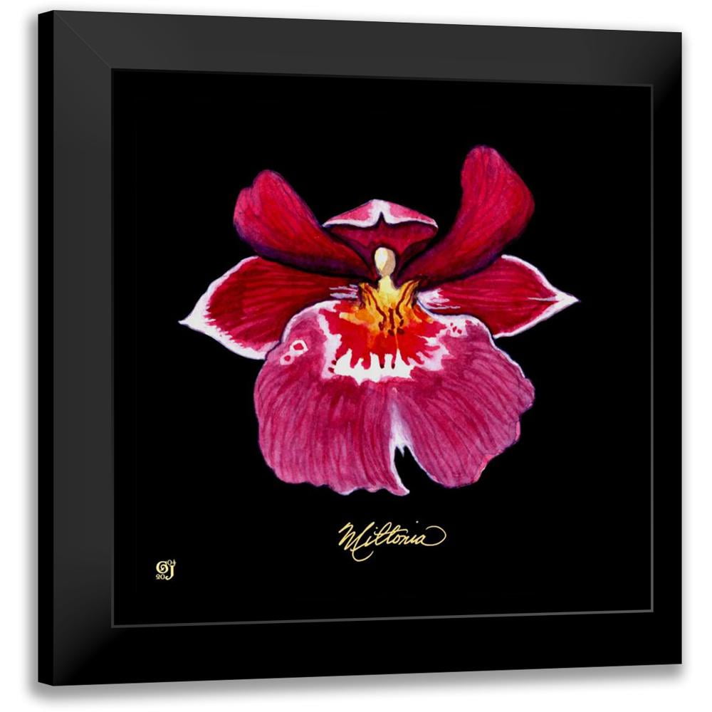 Joyner, Ginny 15x15 Black Modern Framed Museum Art Print Titled - Vivid ...