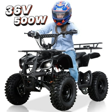 Tao Motor 40cc Gas-Powered Quad Wheeler Mini ATV for Kids - Pull Start ...