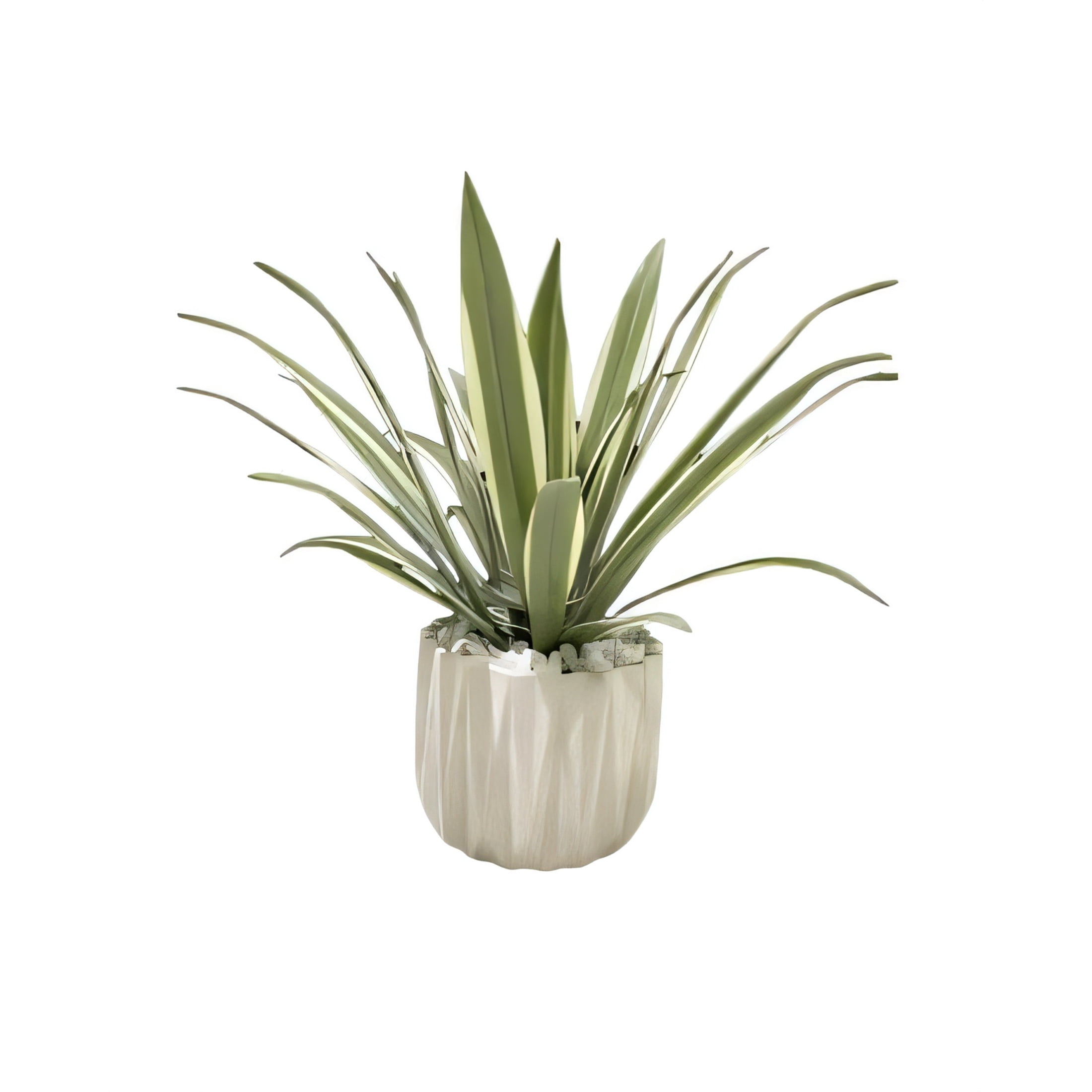 Juamel - Agave Snow Glow - Standard - Walmart.com