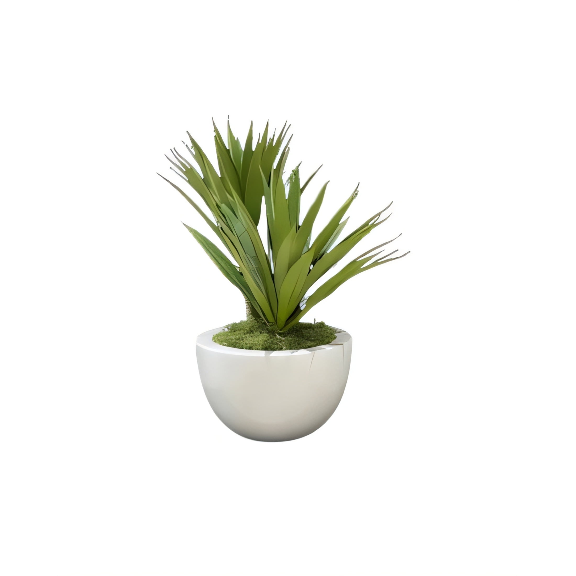 Juamel - Agave - Standard - Walmart.com