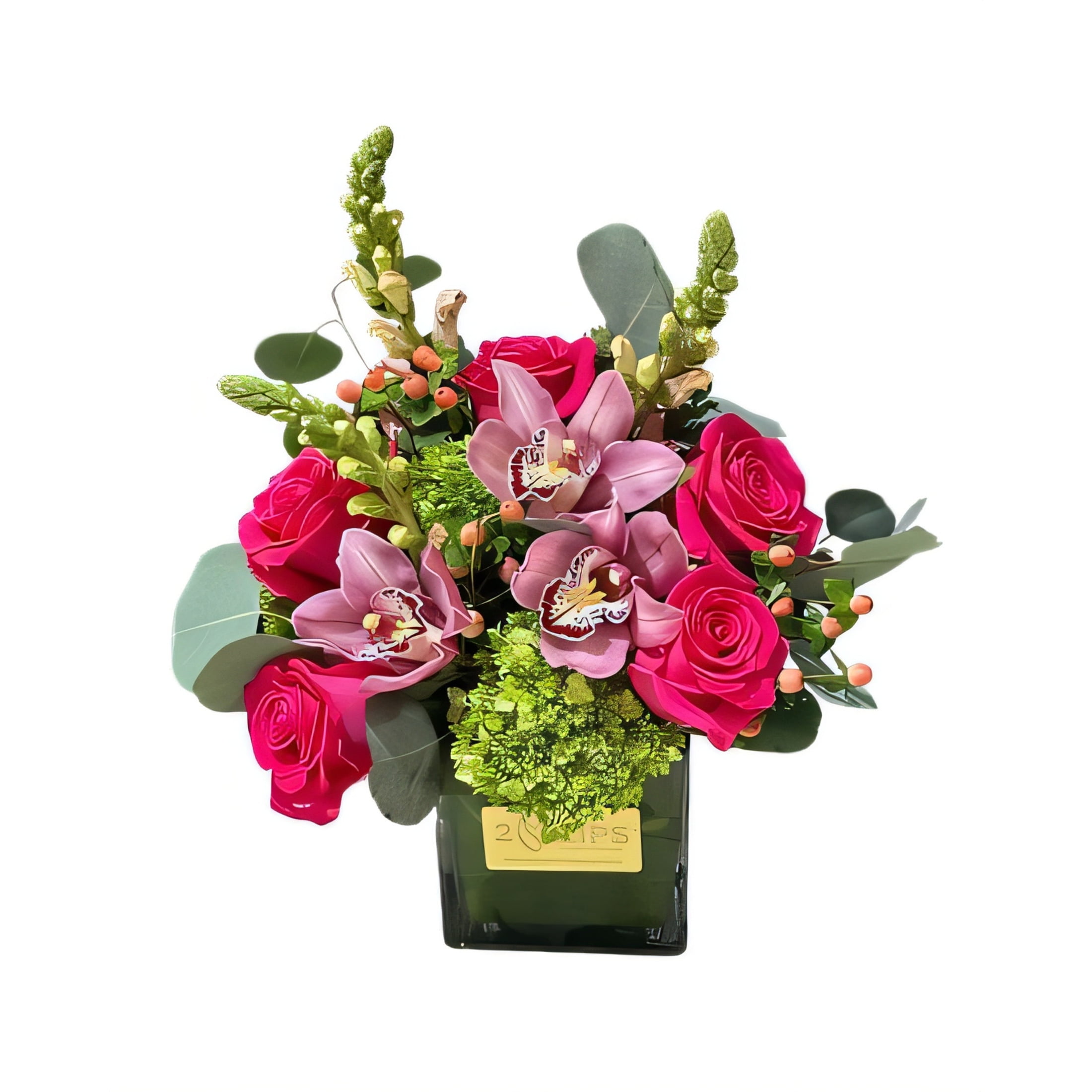 Juamel - Bloomability - Standard - Walmart.com