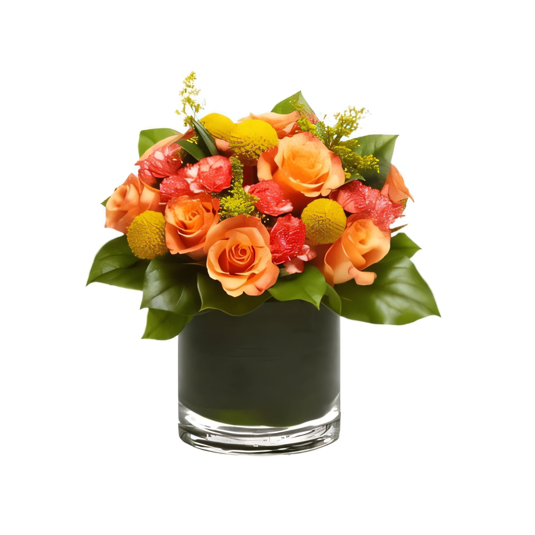 Juamel - Circus - Standard - Walmart.com