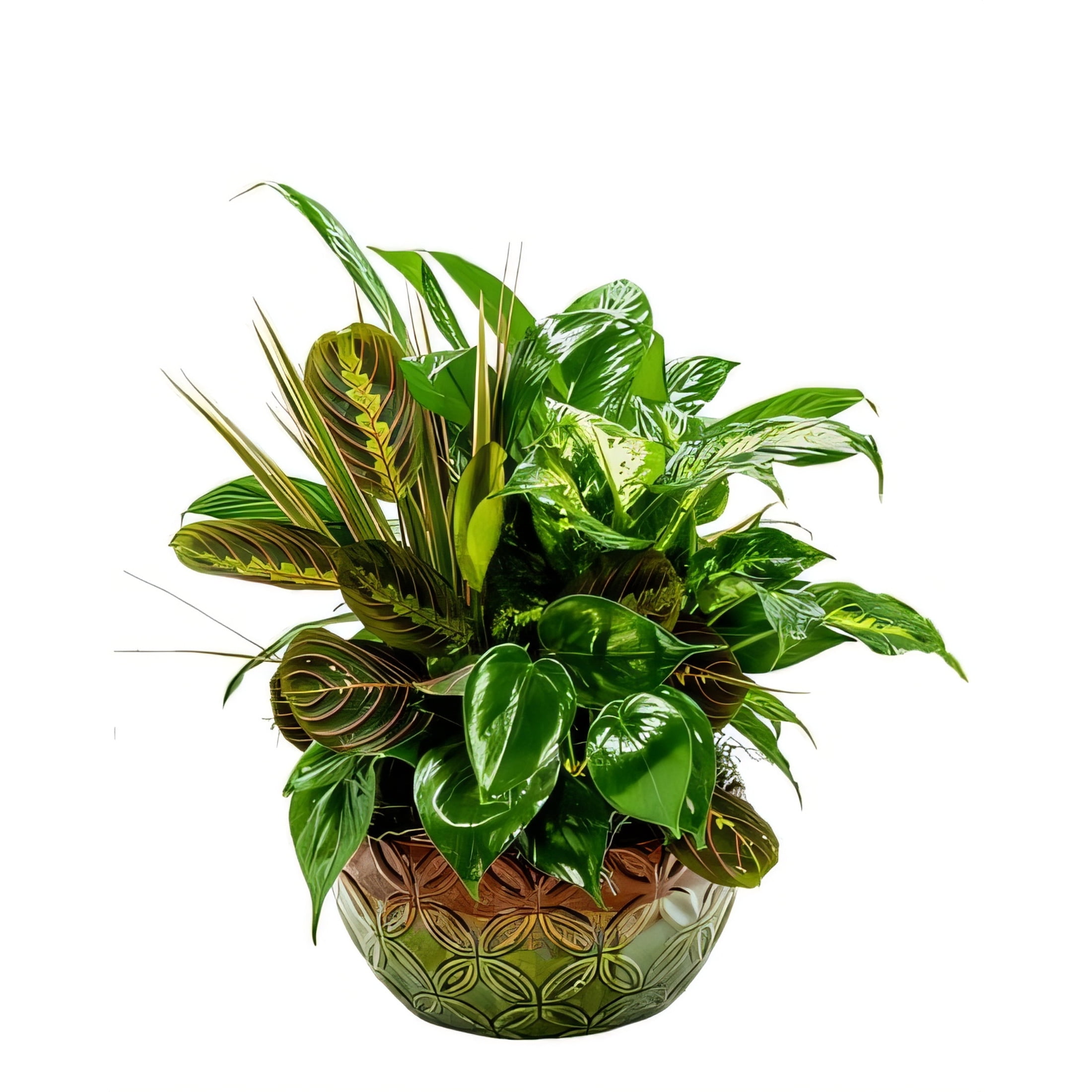 Juamel - Mother Earth Dish Garden - Standard - Walmart.com