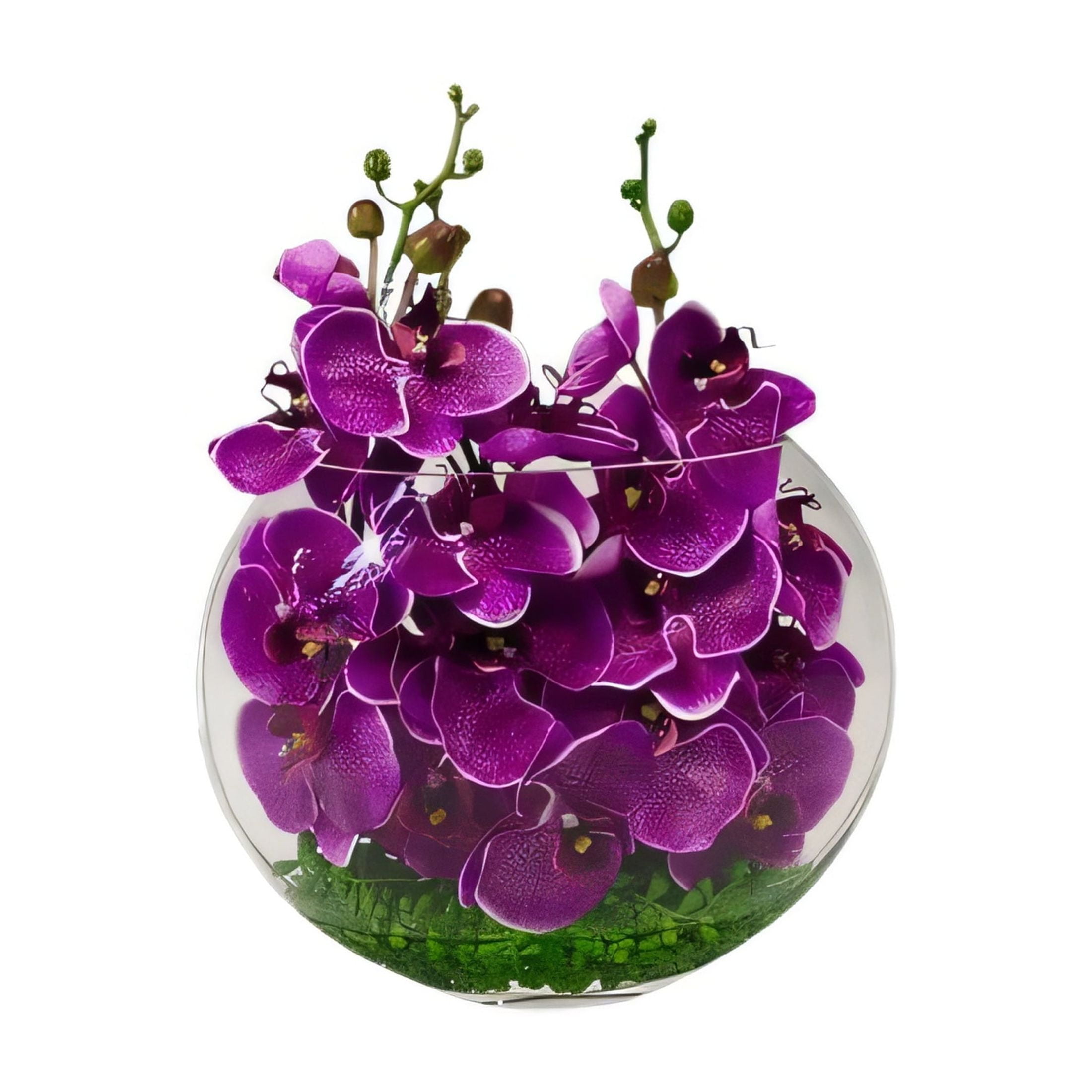 Juamel - Silk Orchids Arrangement - Standard - Walmart.com
