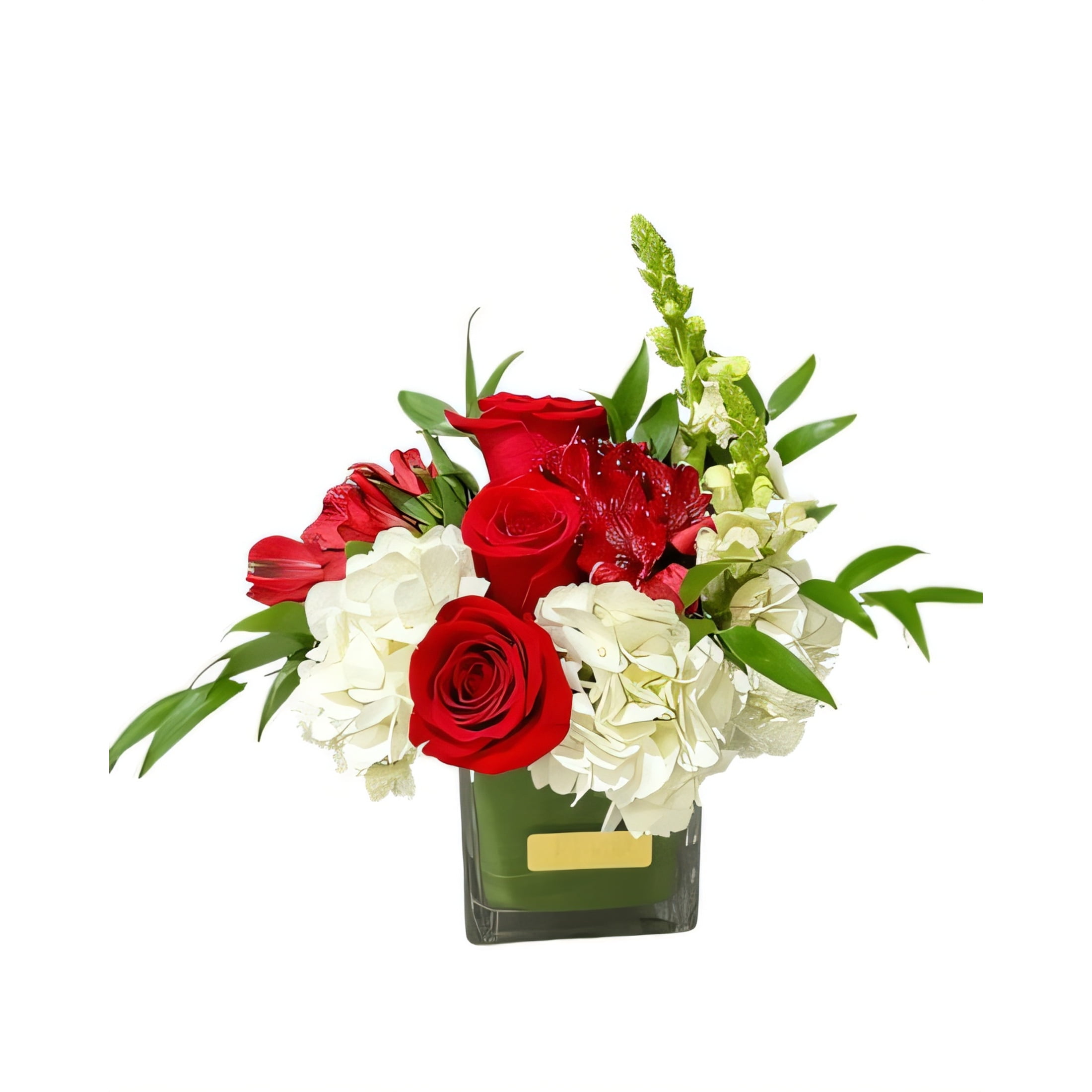 Juamel - Simply You - Standard - Walmart.com